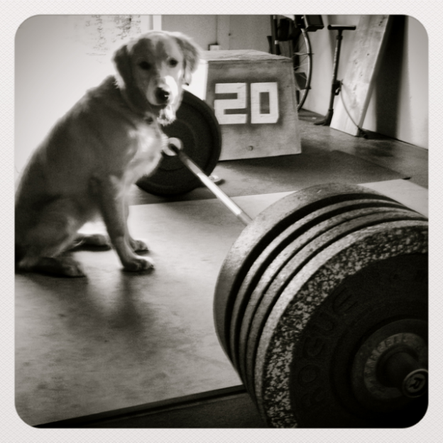 Smolov Jr Squat and Bench Resources - Smolov Squat Program